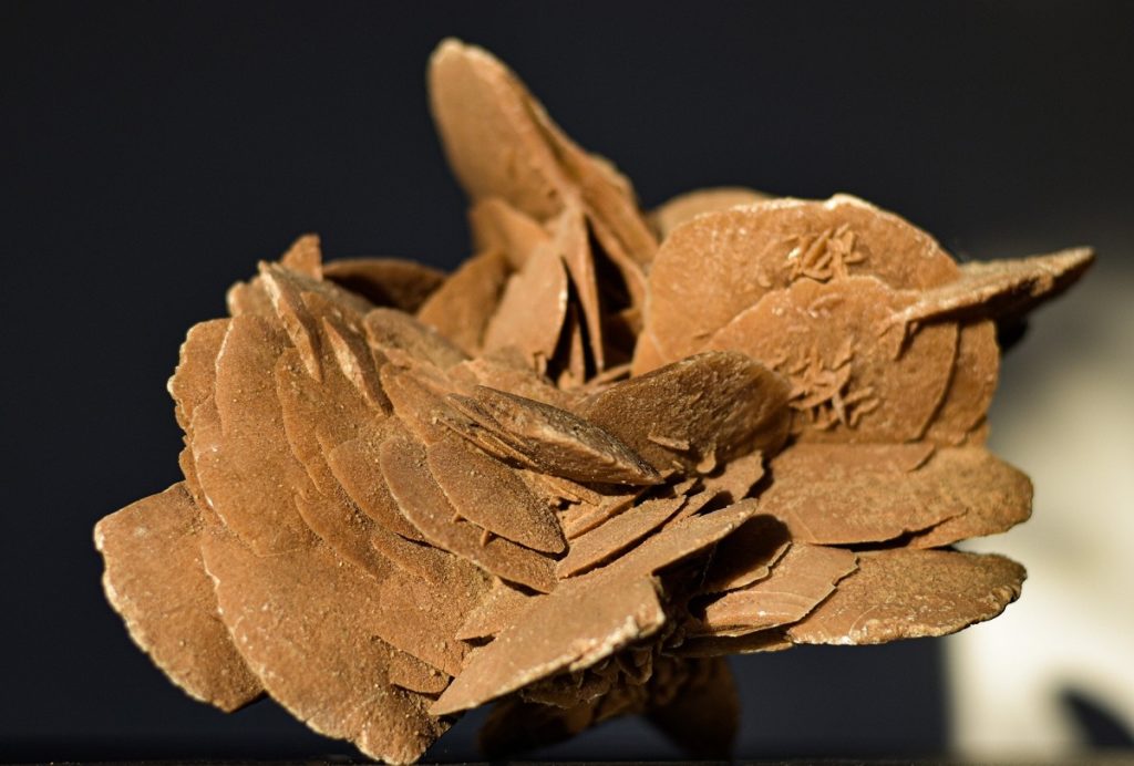 Storytelling Structures – Evidentia Channel